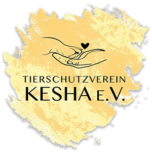 Valet | Tierschutzverein Kesha e.V.